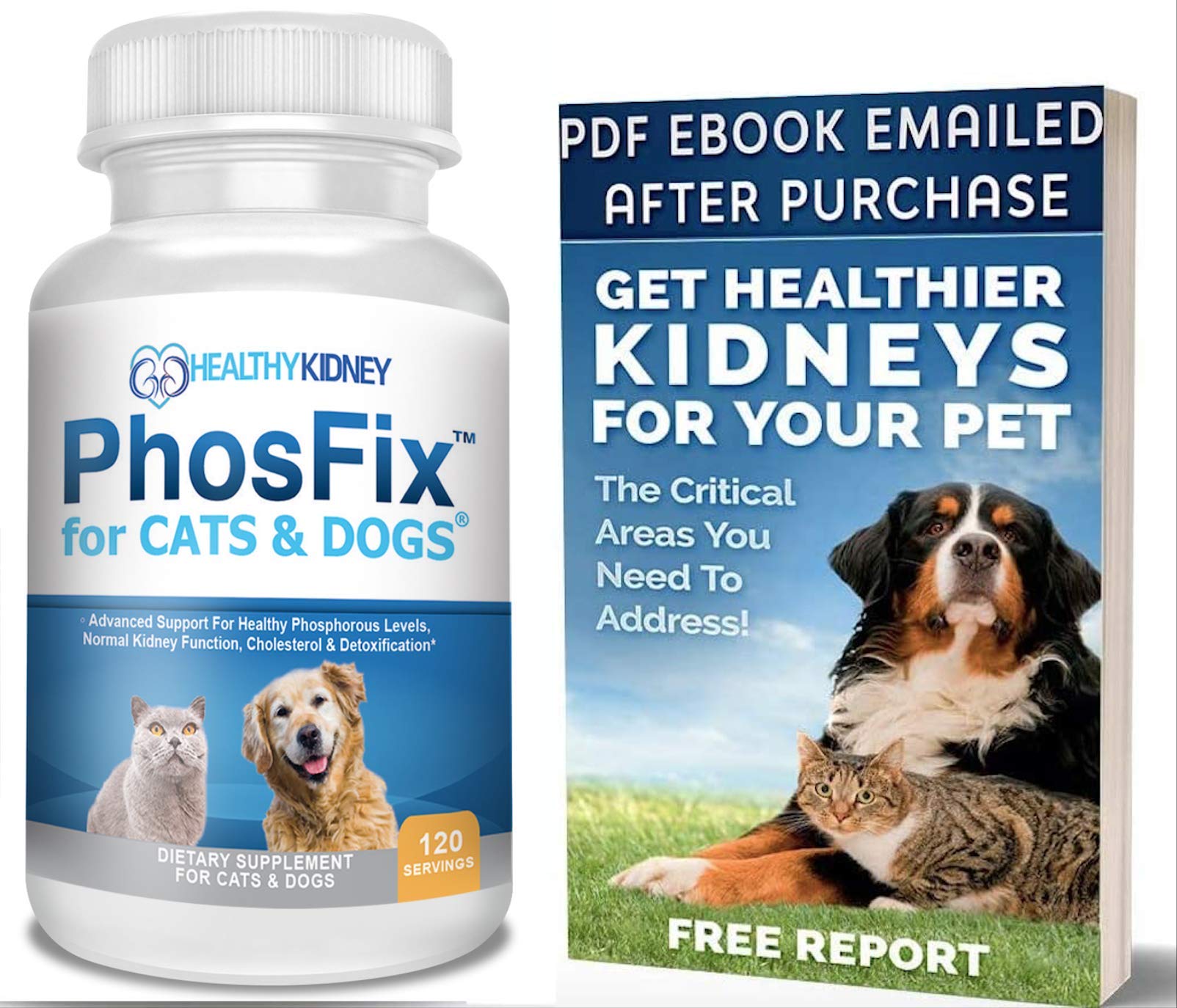 PhosFix for Cats & Dogs: Phosphorus Binder for Cats & Dogs to Support Normal Phosphorus Levels and Kidney Function, Chitosan for Restoring Kidney Health Naturally. A Special Renal Supplement