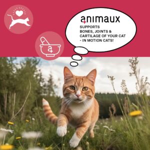 animaux - in Motion Cats, Green-lipped Mussel, Devil's Claw, Rose Hip & Ginkgo, Support for Bones, Joints, Cartilage, tendons, with Hyaluron, Collagen, 90 chewable Tablets, 90 Days Supply