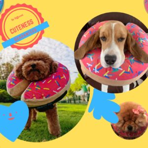 DIRTY LITTLE PAWS Inflatable Dog Colllar | Great Alternative to a Dog Cone or a Dog Cone Collar | Our Super Comfy Dog Donuts Make Excellent Recovery Collars for Dogs | Suitable for Large Dogs (Pink)