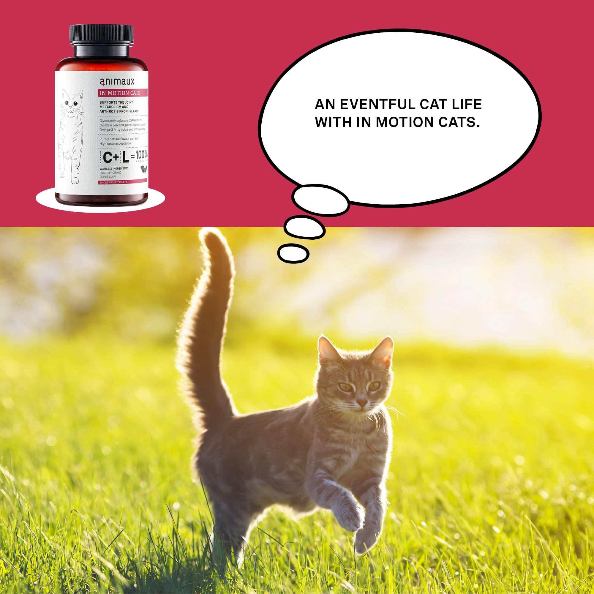 animaux - in Motion Cats, Green-lipped Mussel, Devil's Claw, Rose Hip & Ginkgo, Support for Bones, Joints, Cartilage, tendons, with Hyaluron, Collagen, 90 chewable Tablets, 90 Days Supply