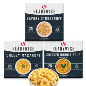 READYWISE - Entrée Box Kit, 60 Servings, 3 Box Kit, Freeze Dried Food, MRE, Emergency Kit, for Hiking, Camping Essentials, Hurricane Preparedness Items, & Food Storage, 25-Year Shelf Life