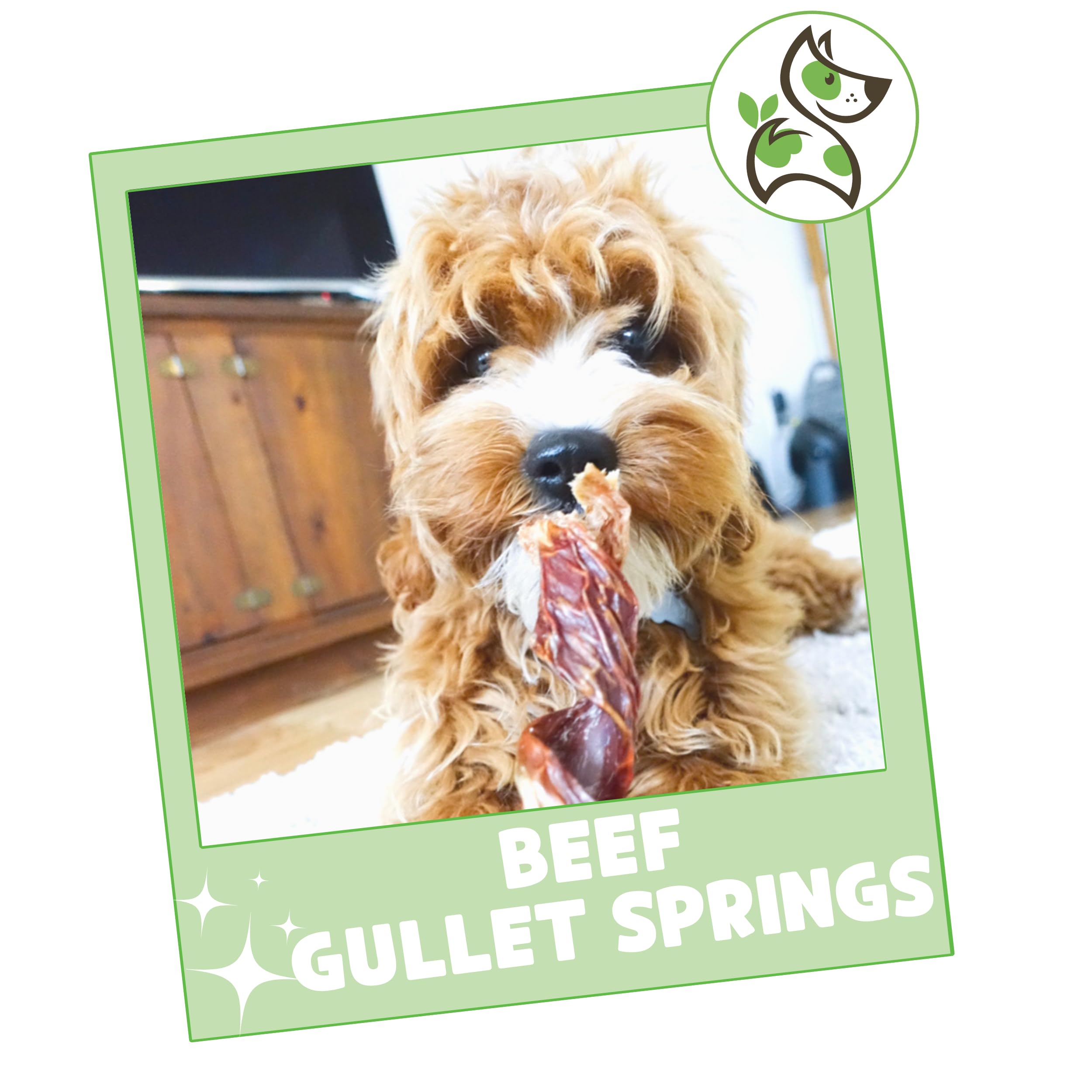 Nature Gnaws Beef Gullet Springs for Dogs 7-8" (6 Count) - Natural Beef Jerky Stick Dog Chew Treats - Rawhide Free