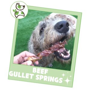 Nature Gnaws Beef Gullet Springs for Dogs 7-8" (6 Count) - Natural Beef Jerky Stick Dog Chew Treats - Rawhide Free