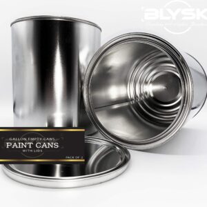 Blysk Empty Metal Gallon Size Cans (2)