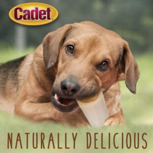 Cadet Double Stuffed Shin Bone - Highly Digestible, High Protein, Long-Lasting Dog Chew Bone for Aggressive Chewers, Supports Dental Health, - Bacon & Cheese Flavor, Small (1 Count)