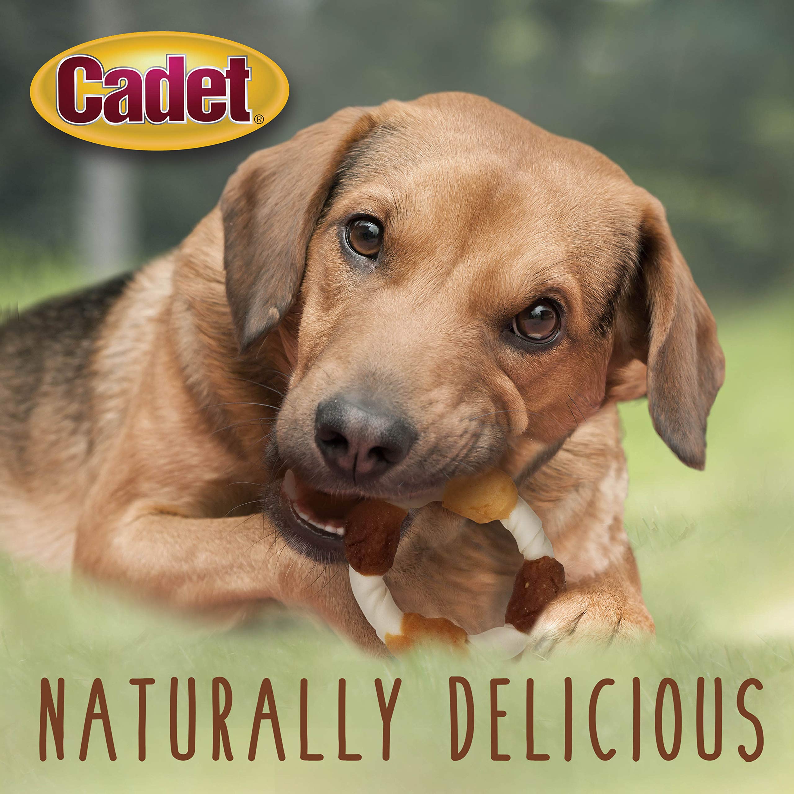 Cadet Gourmet Triple-Flavored Ring - Beef Hide Kabob Dog Treats - Healthy & Natural Chicken, Liver, & Sweet Potato Dog Treats for Dogs Over 30 lbs. (2 Count)