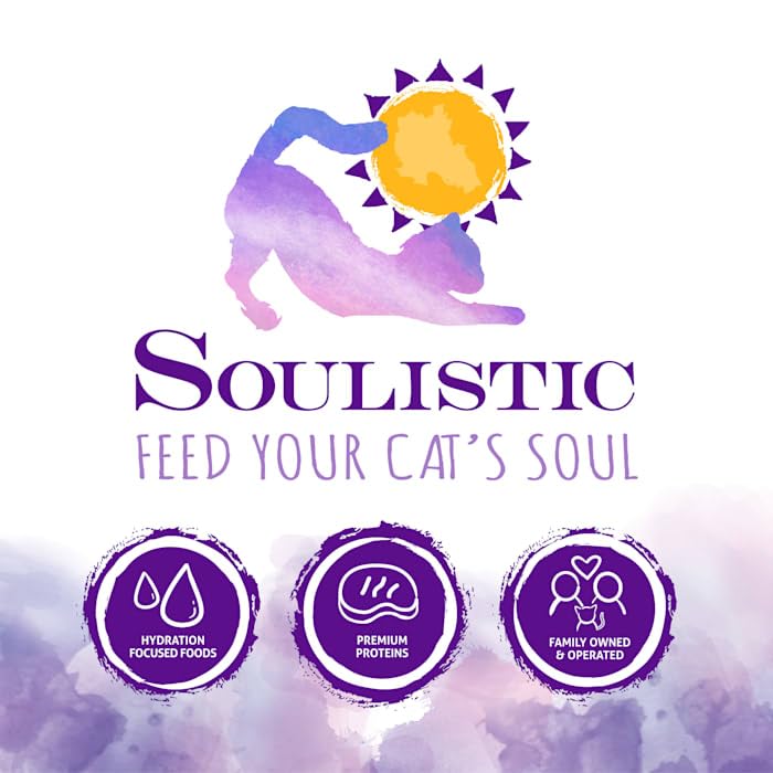 Soulistic Originals Good Karma Chicken Dinner in Gravy Wet Cat Food Pouches, 3 oz., Case of 8