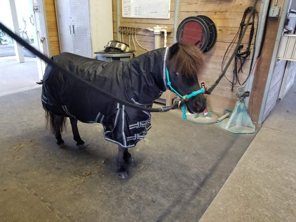 STORM SHIELD Horse Turnout Blanket | Attached Neck Cover | Heavy Weight - 380 Grams | Size 74 - Black | 1200 Denier | Criss-Cross Surcingle | Waterproof, Windproof & Breathable