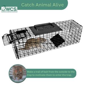 Special Squirrel Standard Cage Trap - Heavy Duty Black Mesh Snare - Safe and Effective Squirrel Control for Commercial and Residential Use - Great for Barns, Garages & Sheds