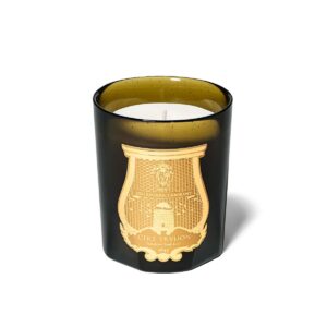 trudon cire gabriel candle, 9.5 oz