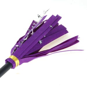 BinaryABC Halloween Witches Broom Plastic Broom,Halloween Cosplay Costume Props,Halloween Masquerade Dress Up Costume Decoration Supplies(Purple)