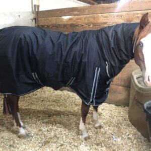 STORM SHIELD Horse Turnout Blanket | Attached Neck Cover | Heavy Weight - 380 Grams | Size 74 - Black | 1200 Denier | Criss-Cross Surcingle | Waterproof, Windproof & Breathable