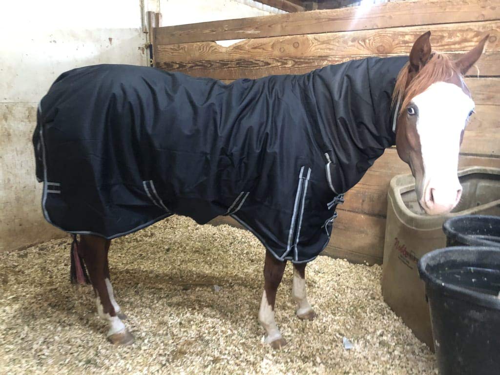 STORM SHIELD Horse Turnout Blanket | Attached Neck Cover | Heavy Weight - 380 Grams | Size 74 - Black | 1200 Denier | Criss-Cross Surcingle | Waterproof, Windproof & Breathable