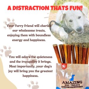 Amazing Dog Treats - 4-6 Inch Variety Bully Sticks (1 lb) - Premium Dog Chews - All Natural Rawhide Alternative - Long Lasting Dog Treats - No Hide Dog Chew - 100% Beef - Promotes Canine Dental Health