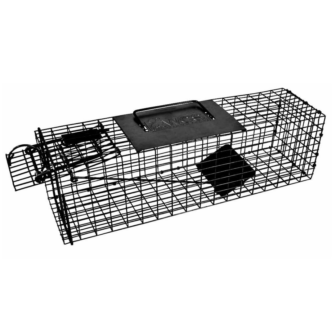 Special Squirrel Standard Cage Trap - Heavy Duty Black Mesh Snare - Safe and Effective Squirrel Control for Commercial and Residential Use - Great for Barns, Garages & Sheds