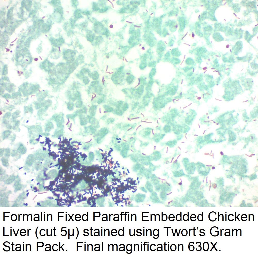 Twort's Gram Stain Pack, 1000ml