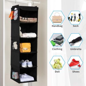 BrilliantJo 2 Pack Hanging Closet Organizer, 5 Shelves Hanging Storage with 6 Side Pockets for Clothes Shoes, 43"x12"x12"(Black)