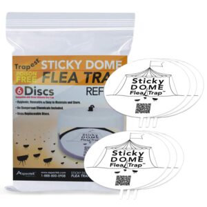 aspectek flea trap replacements glue discs, sticky dome flea trap refills, pack of 6, white