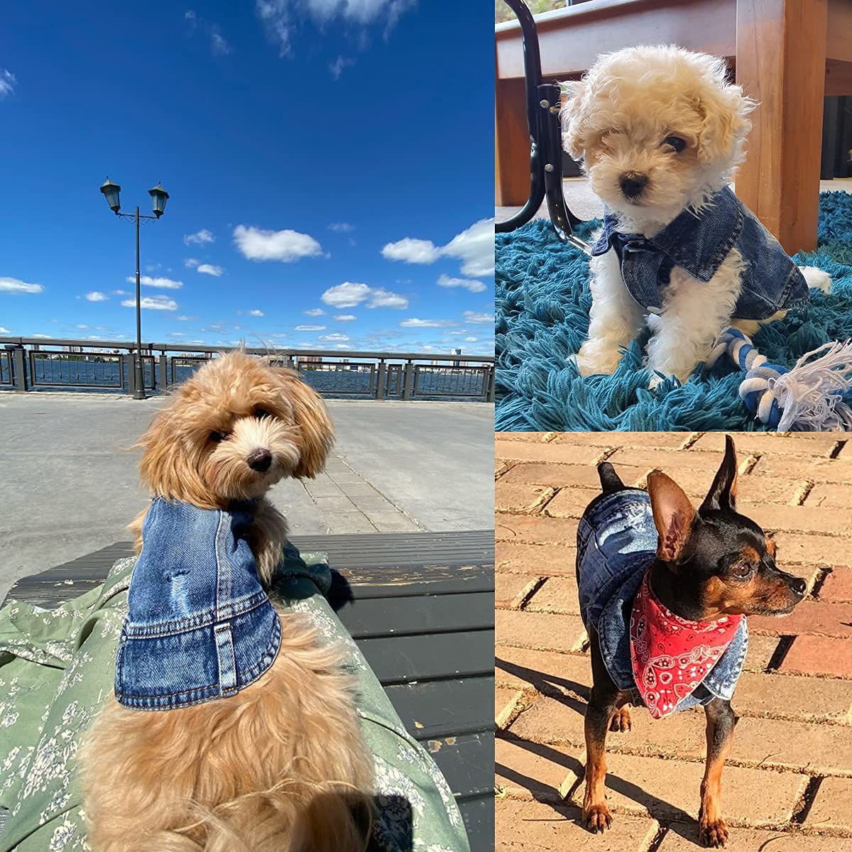 Dog Jean Jacket, Puppy Blue Denim Lapel Vest Coat Costume, Girl Boy Dog T-Shirt Clothes, Cool and Funny Apparel Outfits, Machine Washable Dog Outfits for Small Medium Dogs Cats (XS)