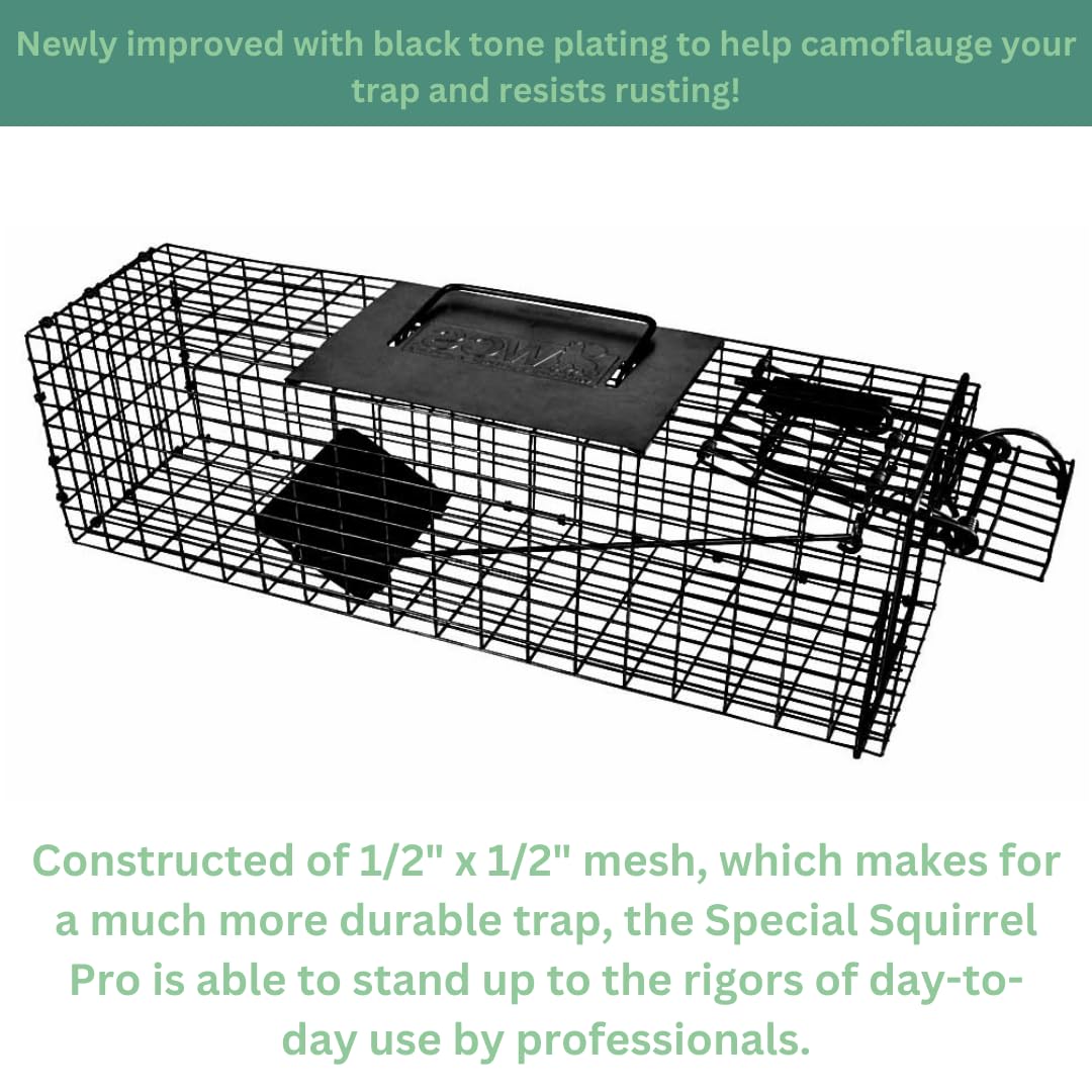 Special Squirrel Standard Cage Trap - Heavy Duty Black Mesh Snare - Safe and Effective Squirrel Control for Commercial and Residential Use - Great for Barns, Garages & Sheds