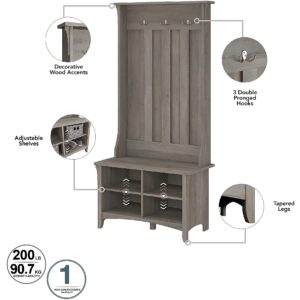 Bush Furniture Salinas Entryway Storage Set with Hall Tree, Shoe Bench and Accent Cabinet in Driftwood Gray