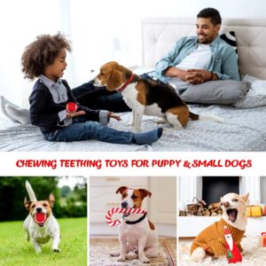 POPETPOP Christmas Dog Toys 3 Pcs, Dog Teeth Cleaning Rope Toy, Durable Dog Chew Ball and Santa Squeaky Plush Dog Toy for Small Dogs and Puppy - Xmas Dog Toy