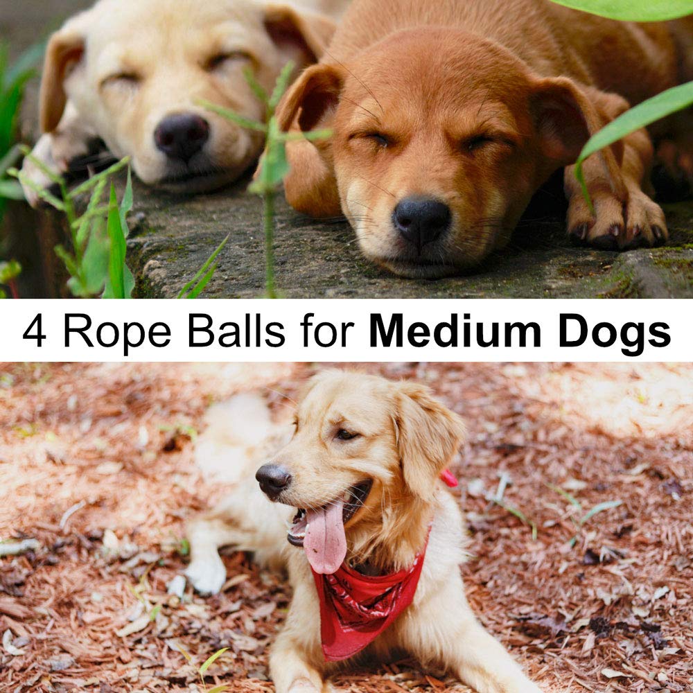 Otterly Pets Dog Toys for Medium Breed Dogs Rope Dog Ball Aggressive Chewers Cotton Balls Outdoor and Indoor Play (4-Pack)