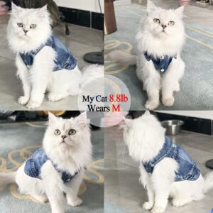 Dog Jean Jacket, Puppy Blue Denim Lapel Vest Coat Costume, Girl Boy Dog T-Shirt Clothes, Cool and Funny Apparel Outfits, Machine Washable Dog Outfits for Small Medium Dogs Cats (XS)