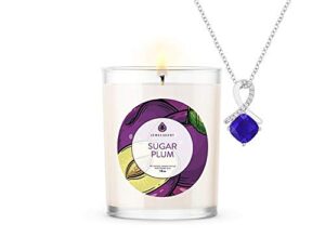 jewelscent sugar plum signature 10z candle and jewelry with surprise pendant inside | made in usa | parrafin free | natural soy blend | eco friendly organic (pendant)