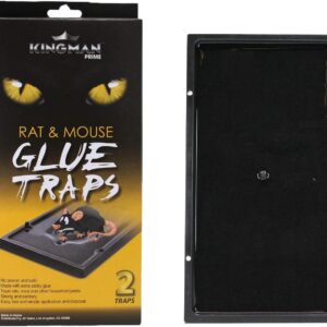 KINGMAN PRIME Medium Mouse Trap Rat Trap Glue Trap/Board (12 Traps) Rodent Trap Safe Easy Non-Toxic