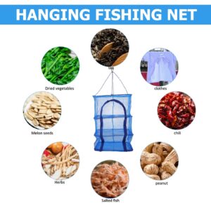 BESPORTBLE Drying Rack 4 Layers Folding Hanging Mesh Dryer for Shrimp Fish Fruit Vegetables, 66X50X50cm with Buckle