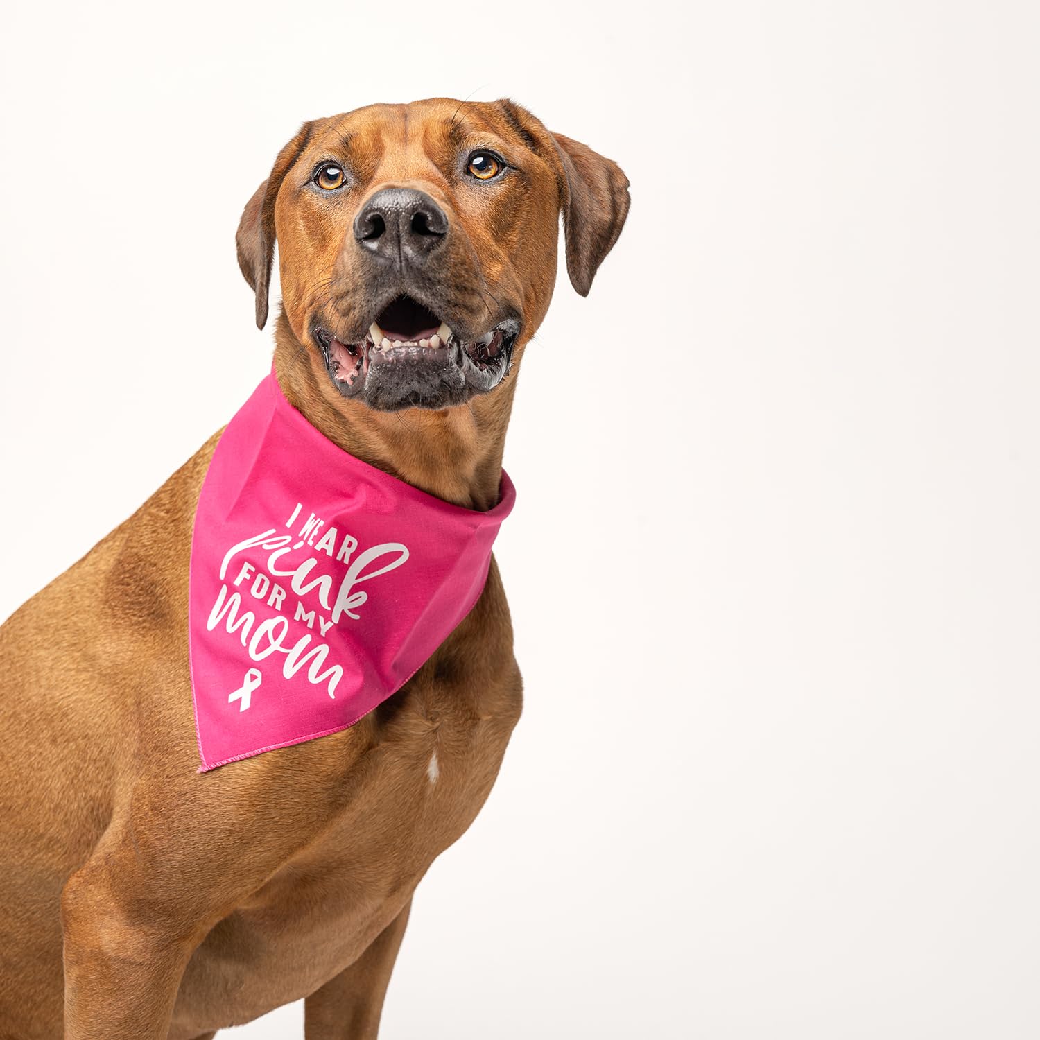 I Wear Pink for My Mom Cancer Ribbon Breast Cancer Dog Bandana (Hot Pink, OS 296)