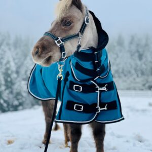 Star Point Horsemanship Mini-Pony Horse Ripstop Waterproof Windproof Blanket Hooded Lightweight Turnout Rain Sheet Breathable Lining 1200 Denier Material 220 Fill (46-48", Teal)