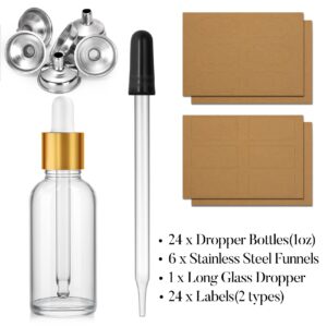 12 Pcs, 1 OZ Dropper Bottles (30ml) with 3 Funnels & 1 Long Dropper - Clear Glass Bottles for Essential Oils with Eye Droppers - Tincture Bottles, Leak-Proof Travel Bottles for Liquids, Golden Cap