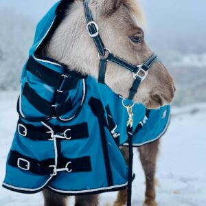 Star Point Horsemanship Mini-Pony Horse Ripstop Waterproof Windproof Blanket Hooded Lightweight Turnout Rain Sheet Breathable Lining 1200 Denier Material 220 Fill (46-48", Teal)