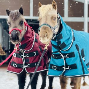 Star Point Horsemanship Mini-Pony Horse Ripstop Waterproof Windproof Blanket Hooded Lightweight Turnout Rain Sheet Breathable Lining 1200 Denier Material 220 Fill (46-48", Teal)