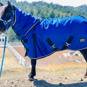 Star Point Horsemanship Mini-Pony Horse Ripstop Waterproof Windproof Blanket Hooded Lightweight Turnout Rain Sheet Breathable Lining 1200 Denier Material 220 Fill (46-48", Teal)