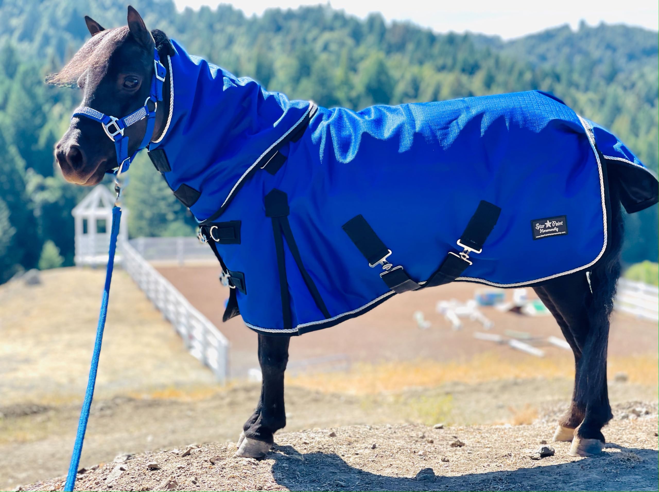 Star Point Horsemanship Mini-Pony Horse Ripstop Waterproof Windproof Blanket Hooded Lightweight Turnout Rain Sheet Breathable Lining 1200 Denier Material 220 Fill (46-48", Teal)