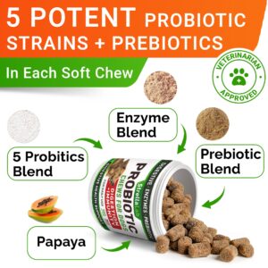 STRELLALAB Pet Probiotics for Dogs & Digestive Enzymes + Digestion & Gut Health Treats, Dog Probiotics Chews, Fiber Supplement, Anti Diarrhea, Constipation, Upset Stomach&Gas Relief, Canine Prebiotic