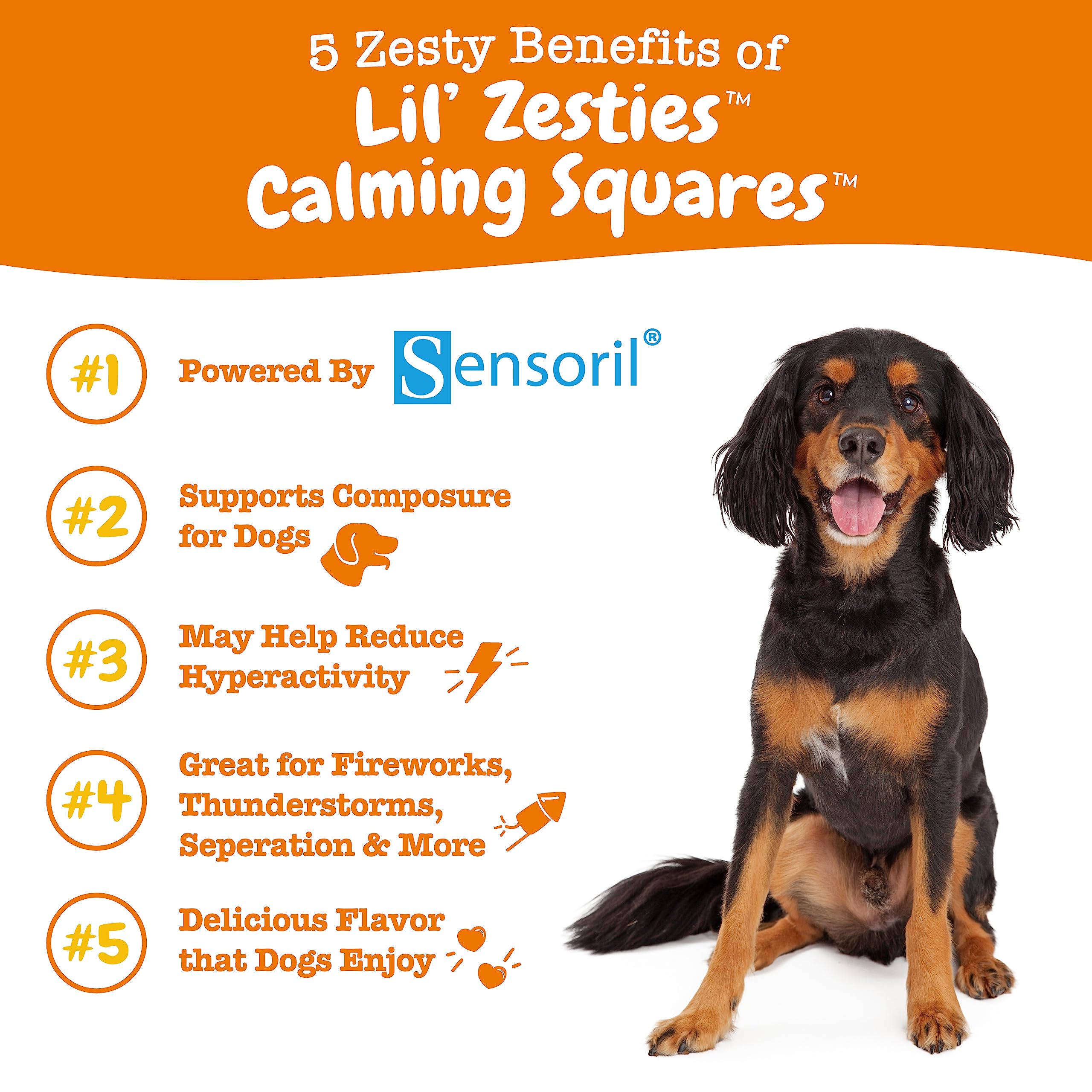 Zesty Paws Flavored Soft Chews - Calming for Dogs Anxiety Composure Relief with Ashwagandha Melatonin Chamomile Passionflower Dog Stress Separation Aid for Fireworks and Thunder 20 oz…