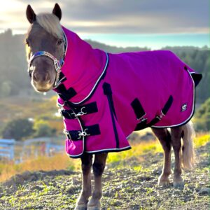 Star Point Horsemanship Mini-Pony Horse Ripstop Waterproof Windproof Blanket Hooded Lightweight Turnout Rain Sheet Breathable Lining 1200 Denier Material 220 Fill (46-48", Teal)