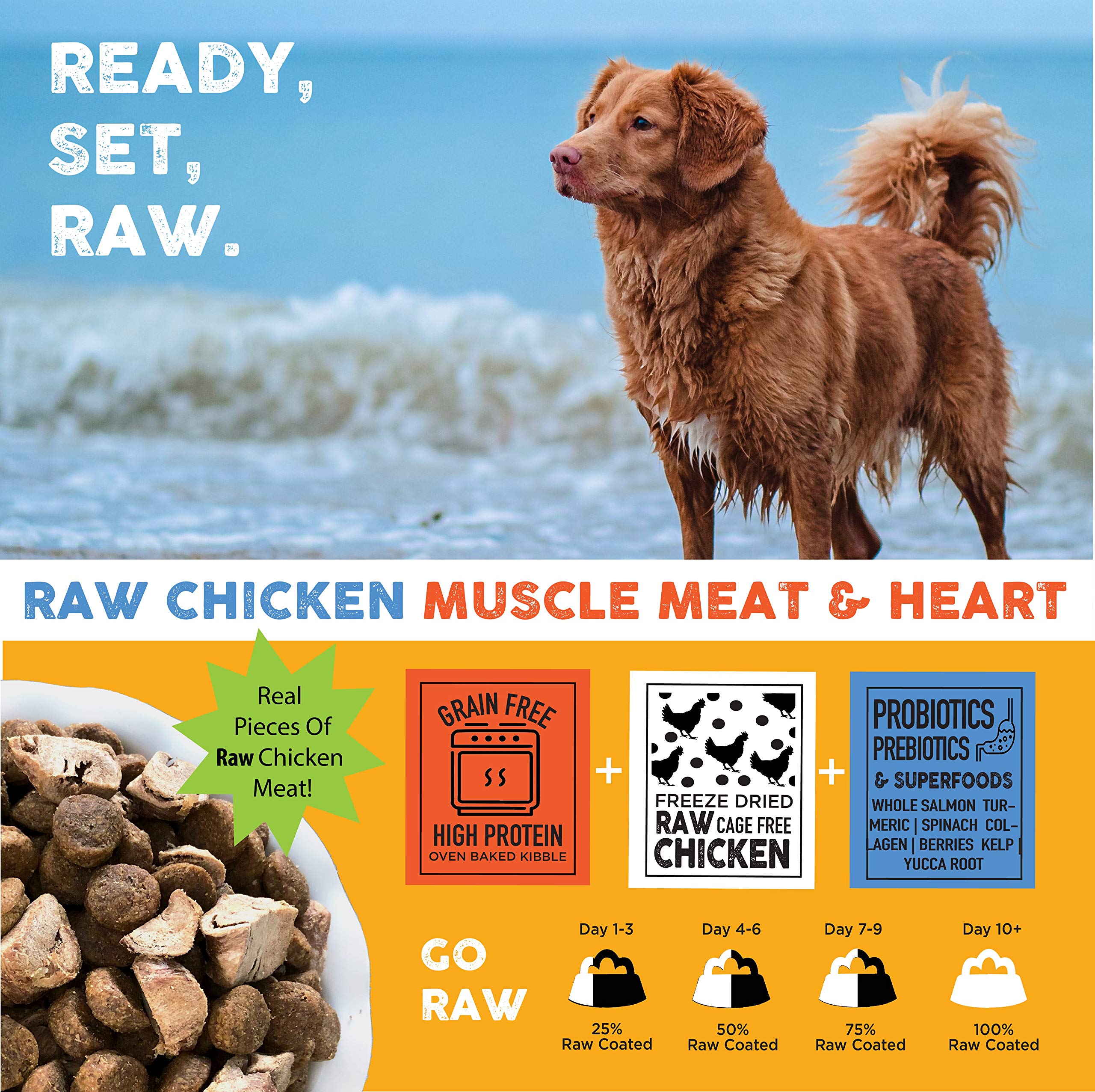 Nature's Diet Raw Mix Kibble with Freeze-Dried Chicken, Superfoods and Probiotics