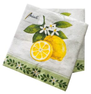 20-ct 3-ply 13x13 lemon napkins lemon paper napkins vintage napkins mother's day napkins lemon cocktail napkins lemon dinner napkins paper decorative paper napkins for decoupage father's day artist