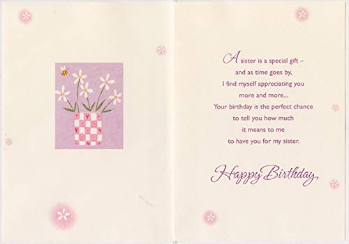 Designer Greetings Daisies in Pink and White Box with Shimmering White Sections Sister Birthday Card from Sister