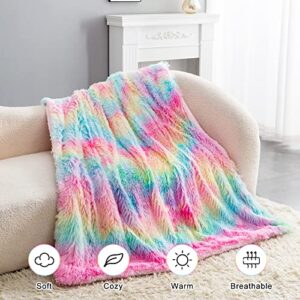 BOBOR Faux Fur Throw Blanket, Tie Dye Rainbow Sherpa Fleece Fluffy Blanket for Girls, Super Soft Fuzzy Plush Cozy Lightweight Decorative Blankets for Couch Sofa Bed (Rainbow, 59"x79")