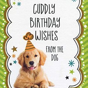 Designer Greetings Cuddly Wishes Golden Retreiver in Hat Birthday Card from The Dog