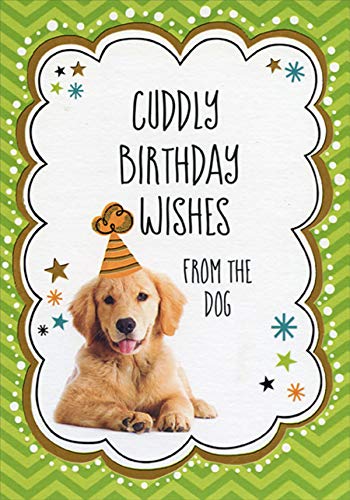 Designer Greetings Cuddly Wishes Golden Retreiver in Hat Birthday Card from The Dog