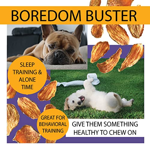 Nature's Diet Sweet Potato Chews XL 2lb Bag Safe Rawhide Replacement, Natural Treat, Training, Teeth, Healthy Snack for Dogs