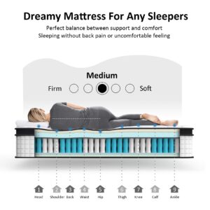 Inofia Full Mattress, 12 Inch Hybrid Innerspring Foam Mattress, Double Bed in a Box, Medium Firm Mattress for More Comfort, Full Size