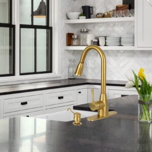 Akicon One-Handle Brushed Gold Pull Down Kitchen Faucet with Deck Plate - 5 Years Warranty (Brushed Gold)